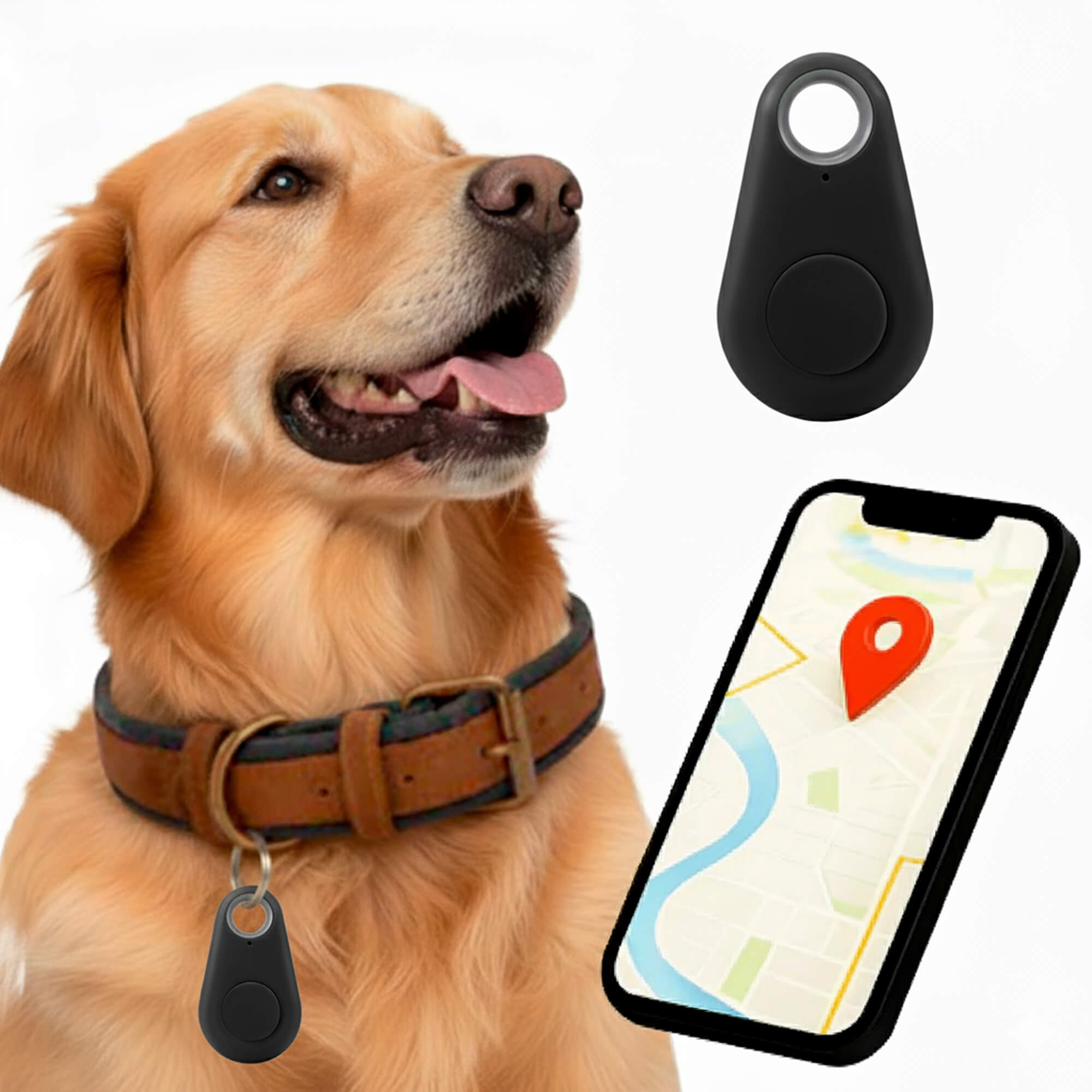 GPS Dog Tracker | Waterproof, Real-Time Location & Safety Zone Alerts ...