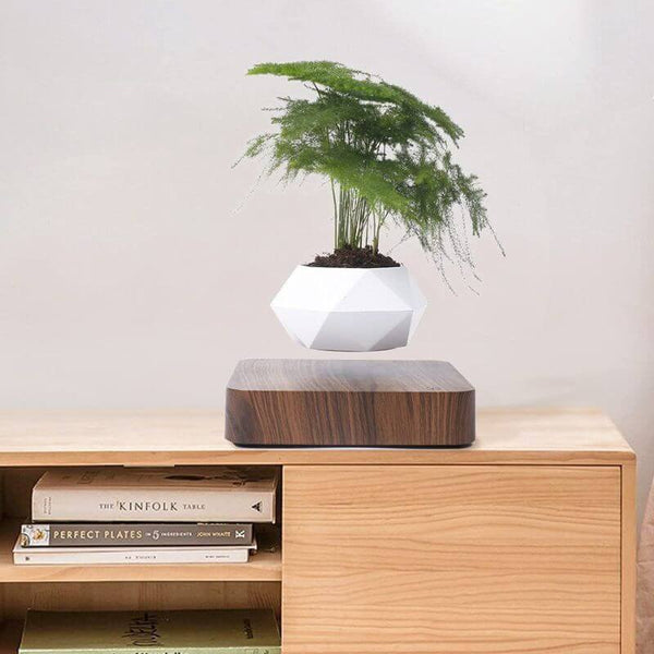 Magnetic Levitating Flower Pot with LED Light - Floating Planter for H ...